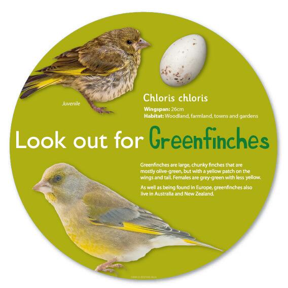 Look out for birds signs