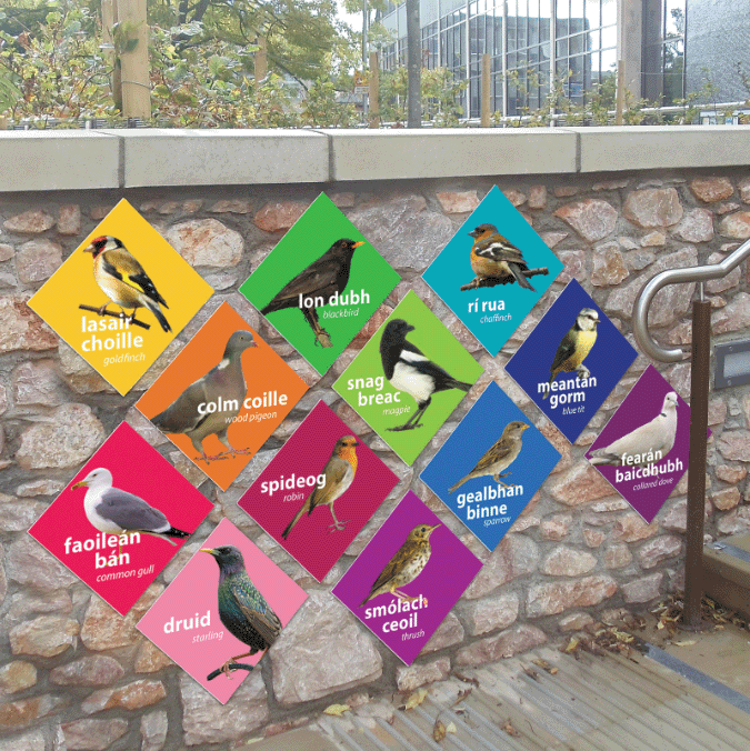 Diamond Bird Signs (Dual Language as Gaeilge & English)