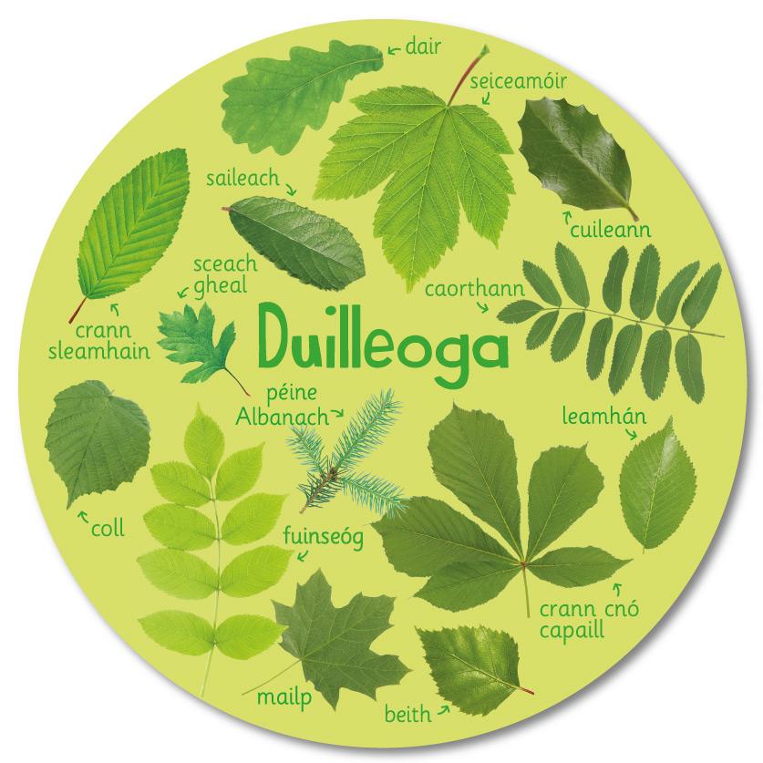 Circular Nature Sign - Leaves (as Gaeilge)