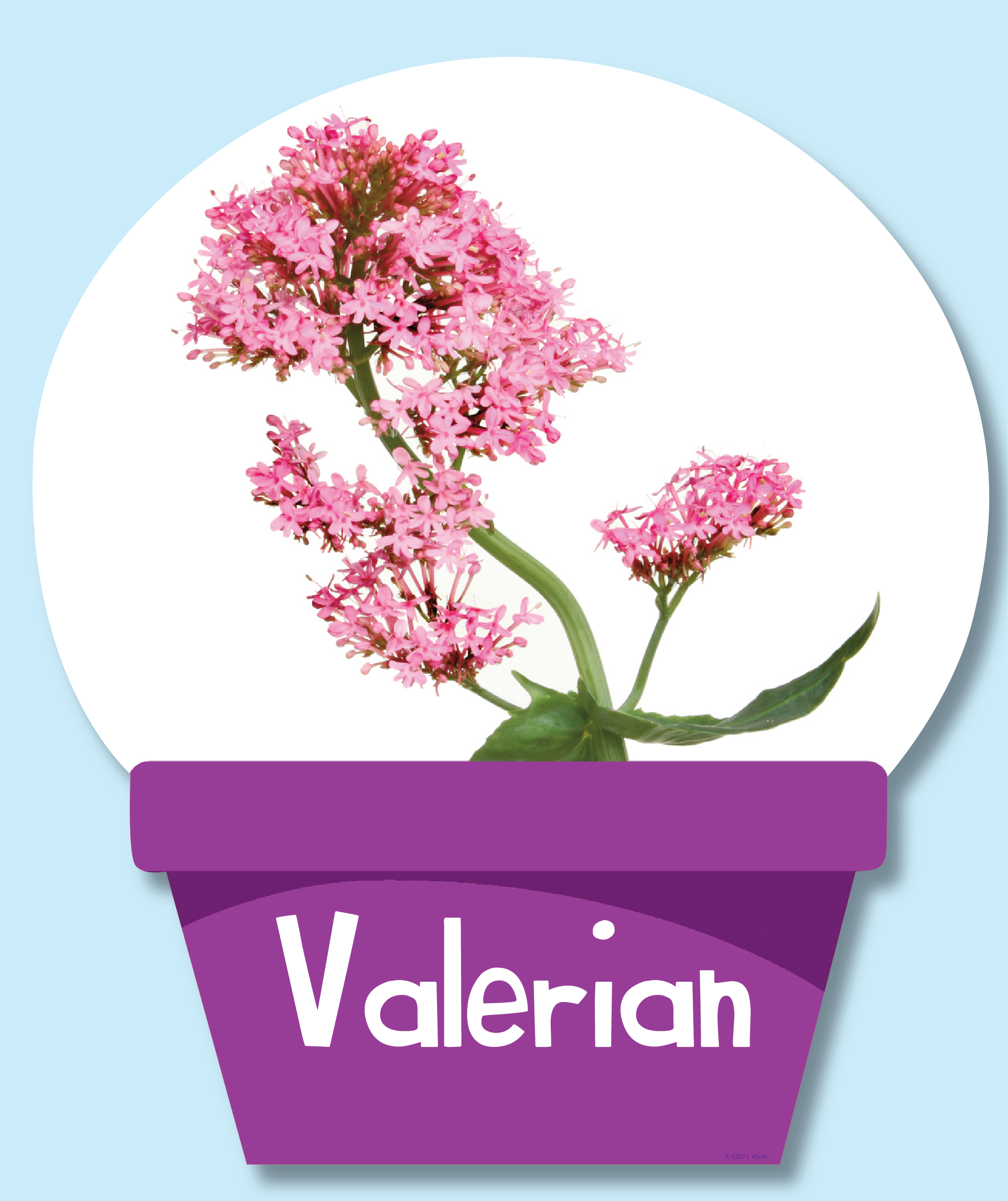 Set of 14 Flower Pot Signs
