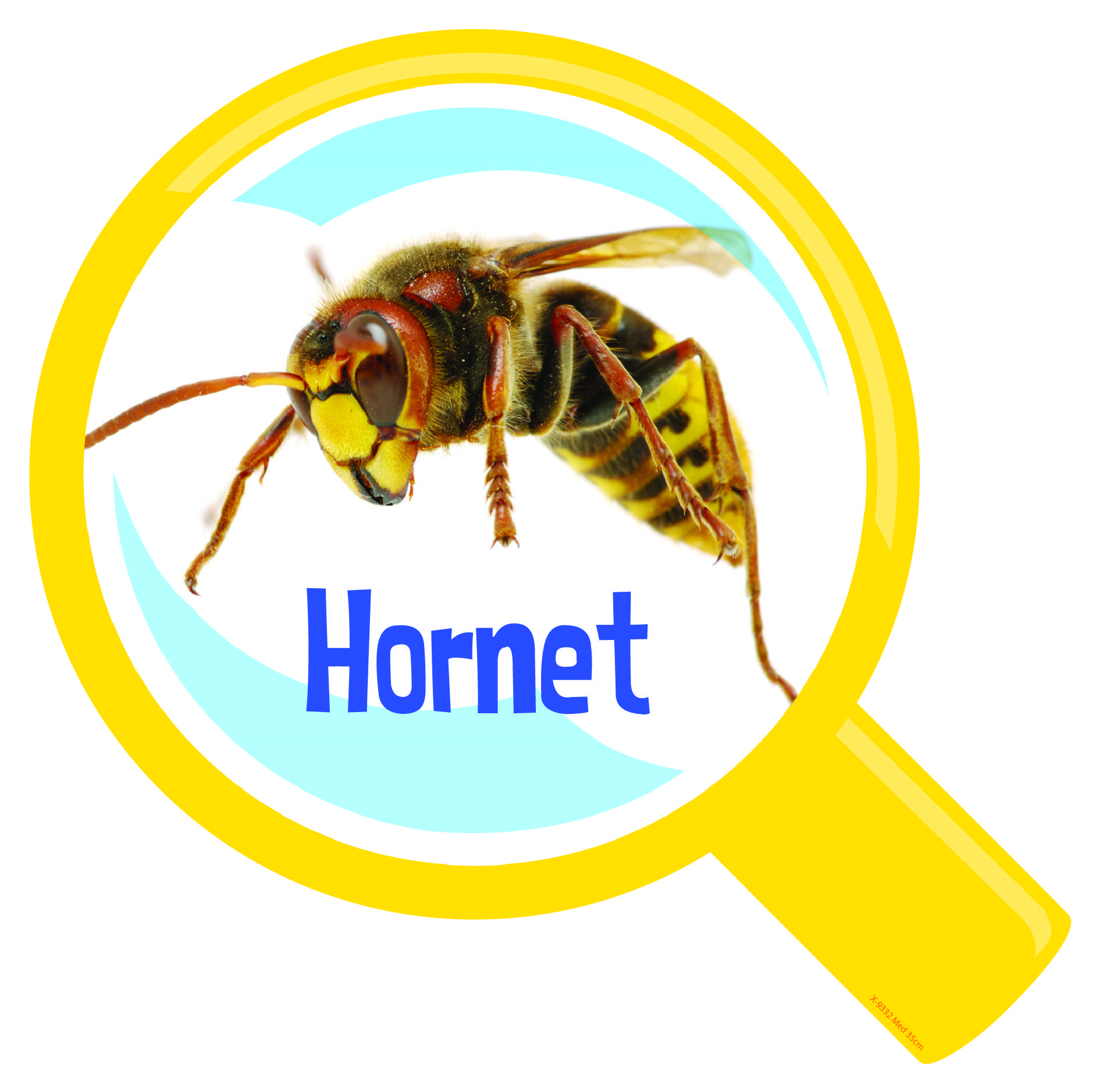 Set of 20 Minibeast Signs