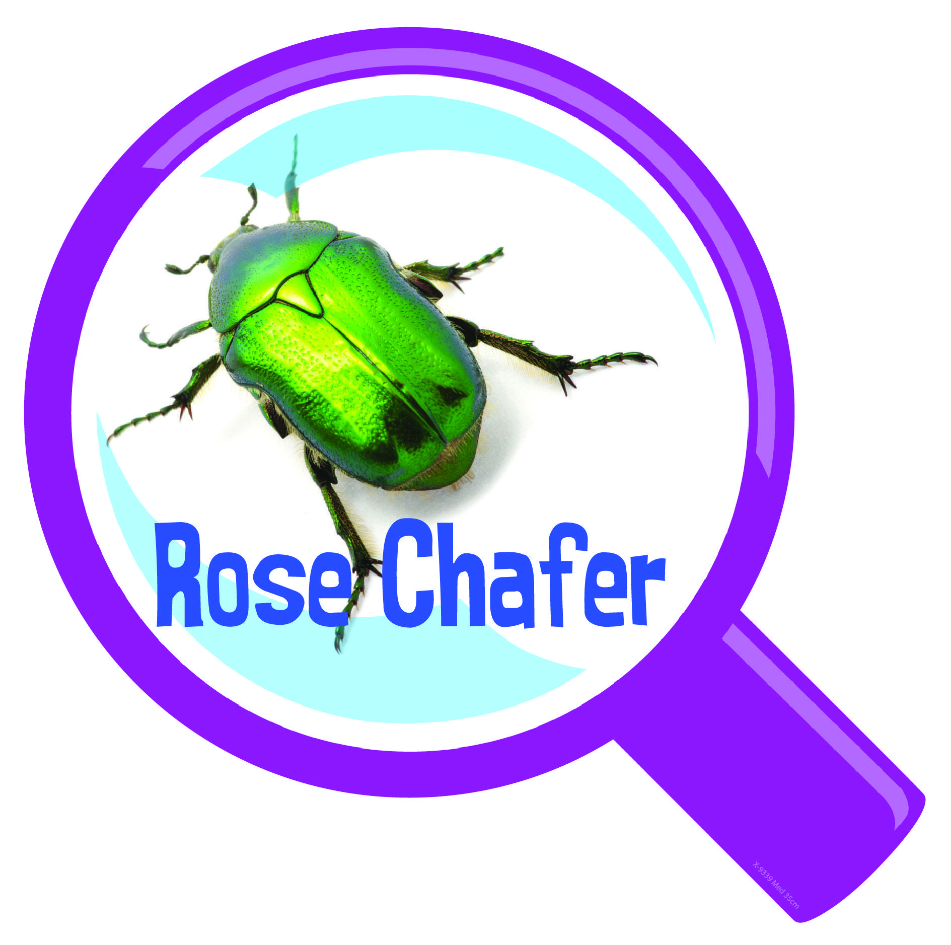 Set of 20 Minibeast Signs