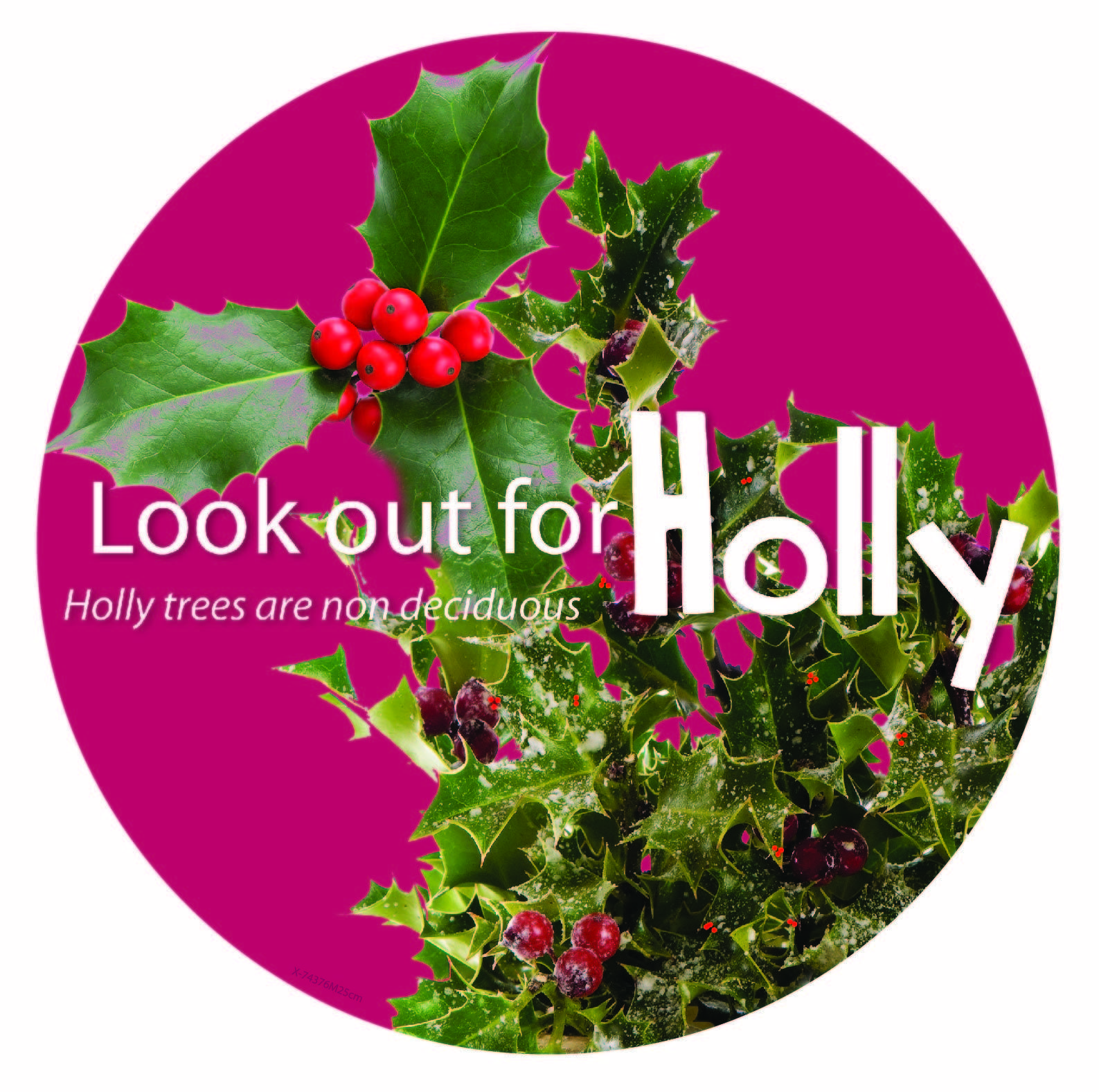 Set of 14 Tree Signs