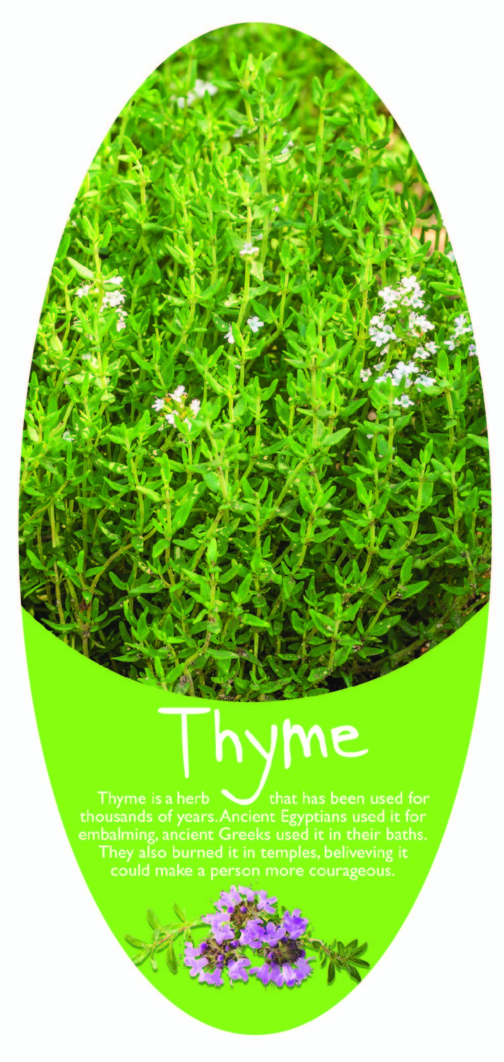 Set of 12 Herb Signs