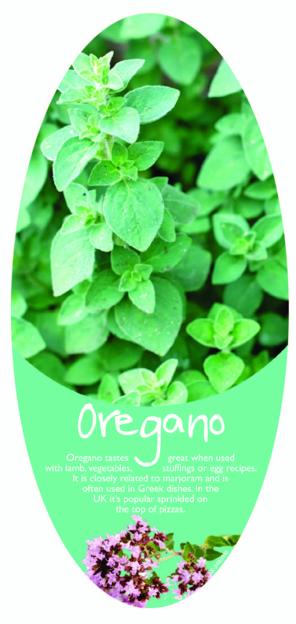 Set of 12 Herb Signs