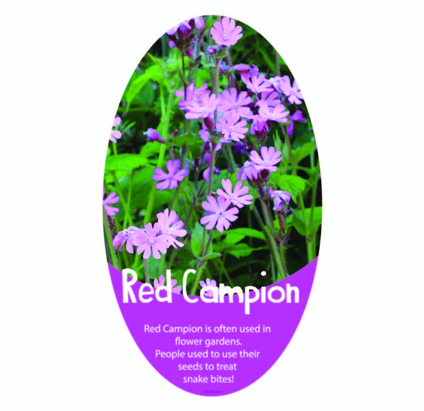 Set of 14 Wild Flower Signs