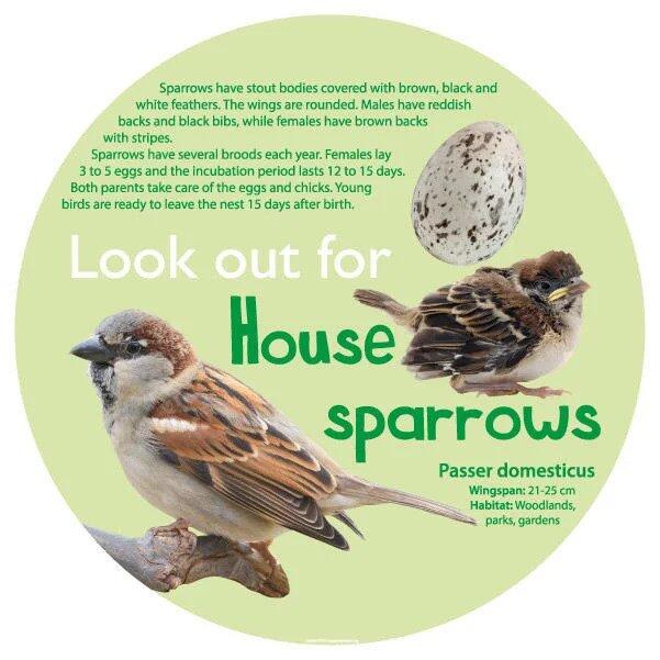 Look out for birds signs