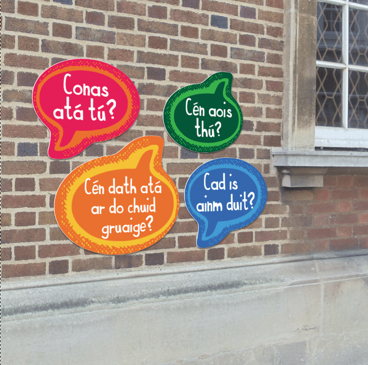 'Questions as Gaeilge 9 Yard Signs' - Set 1