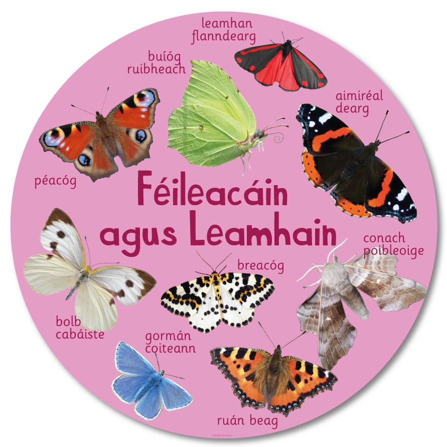 Animal Classification Mural