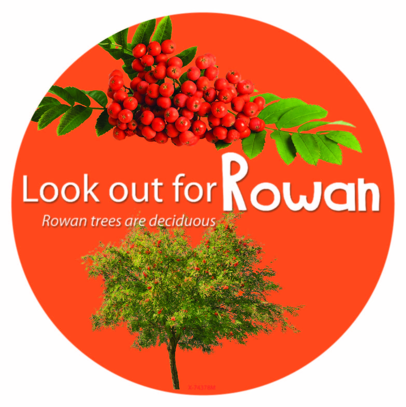 Set of 14 Tree Signs