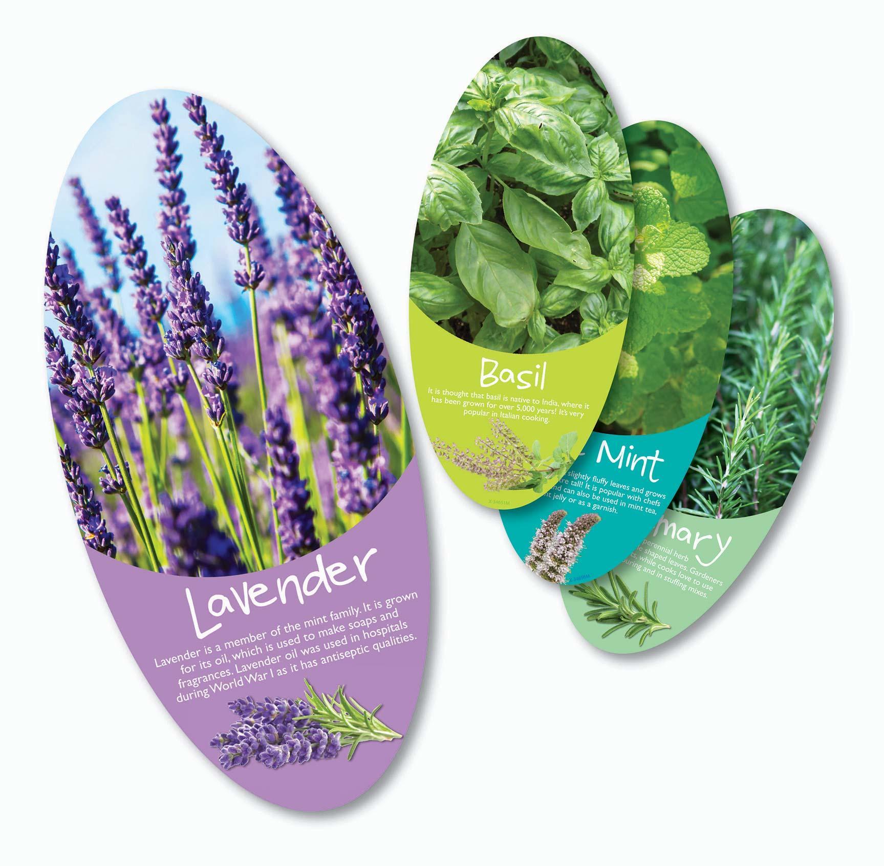 Set of 12 Herb Signs