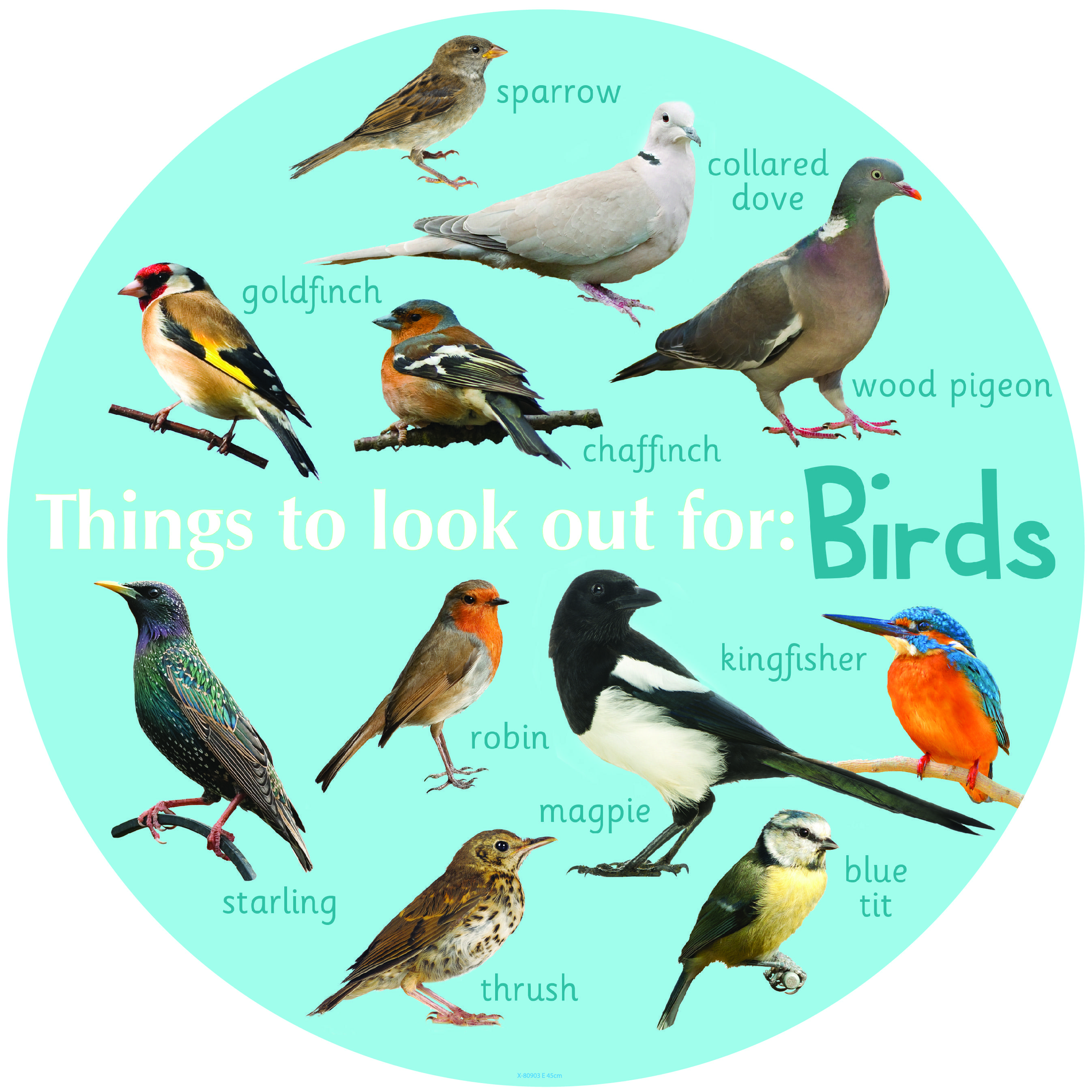 Things to look out for