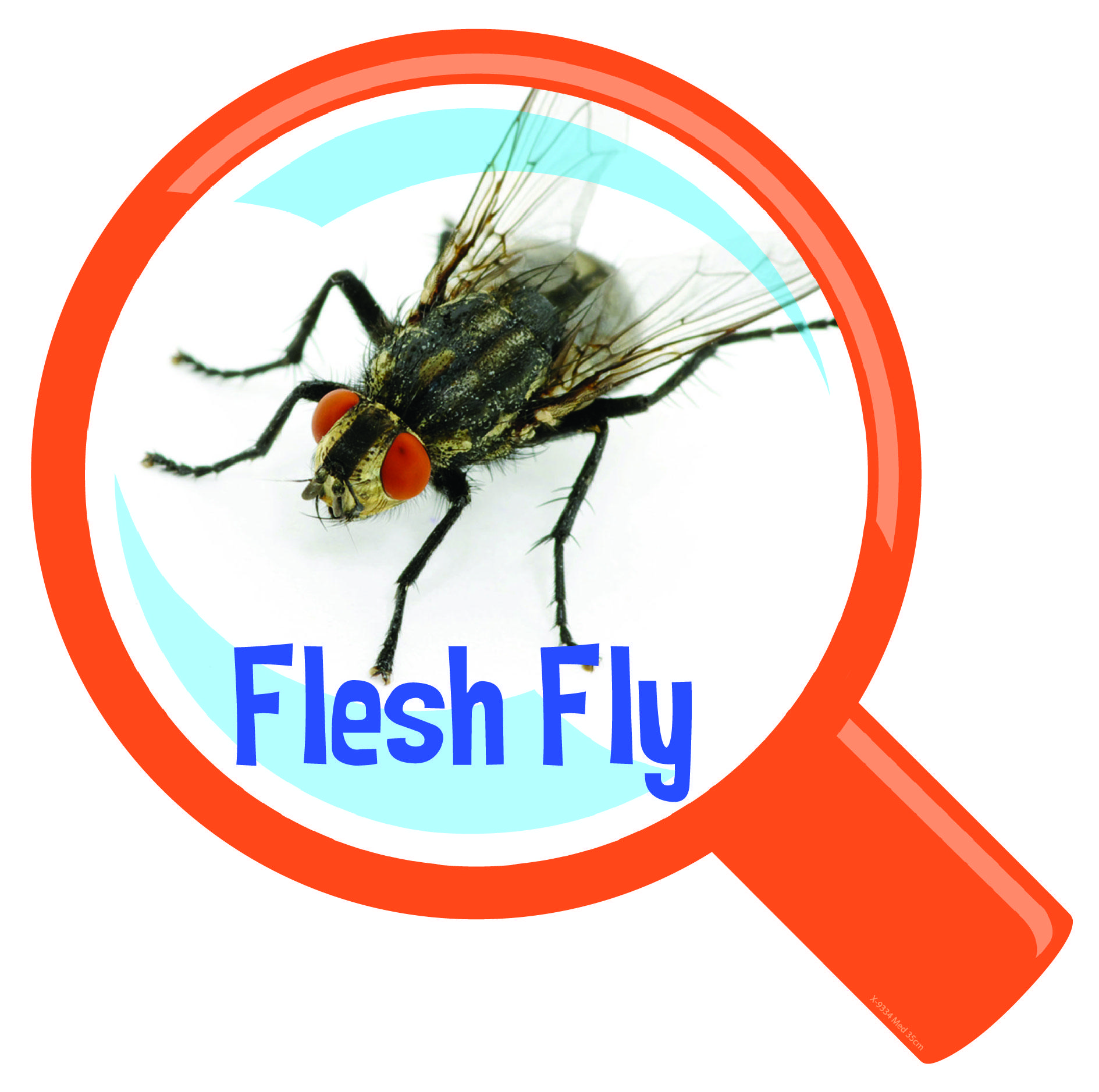 Set of 20 Minibeast Signs