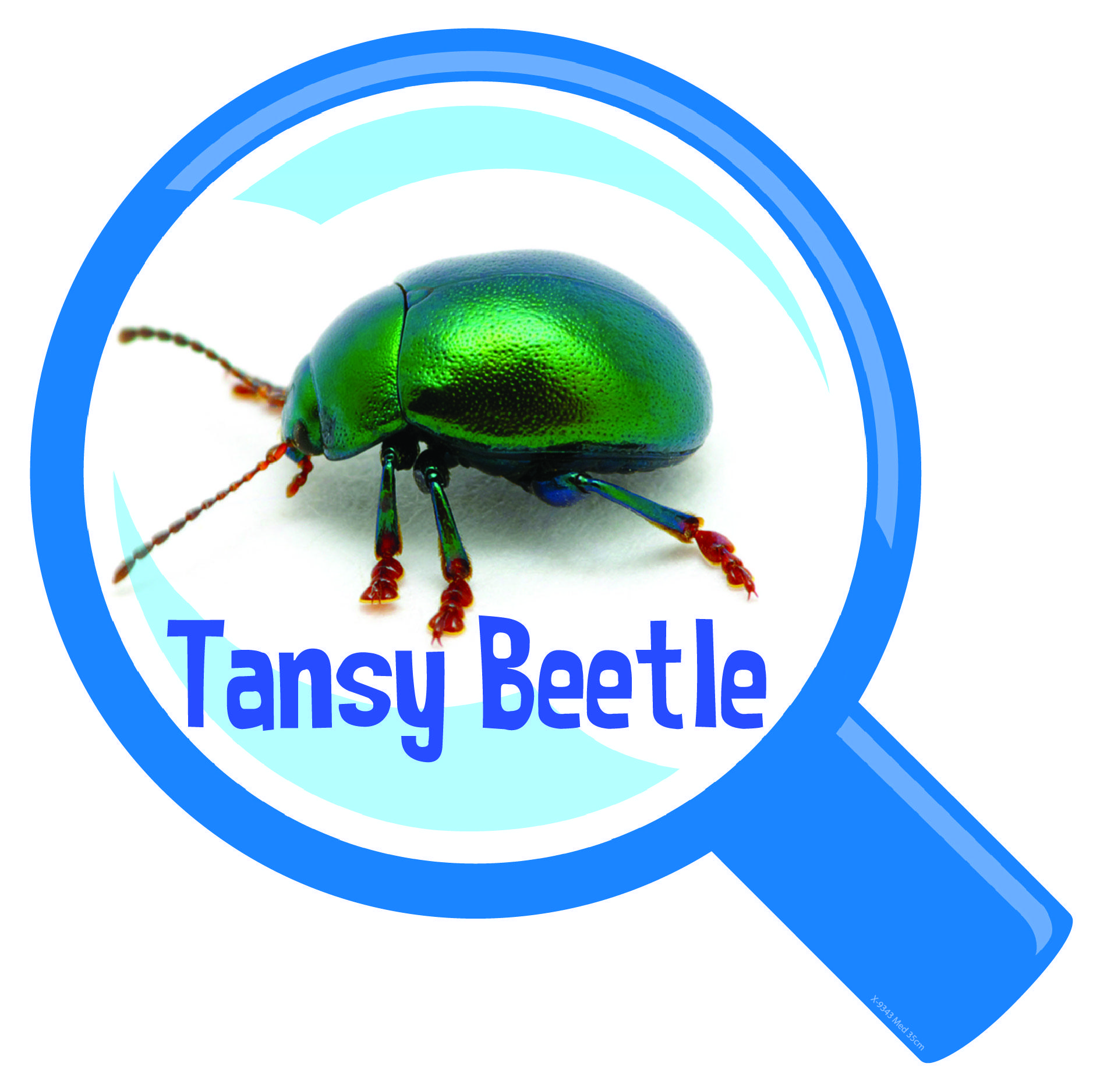 Set of 20 Minibeast Signs