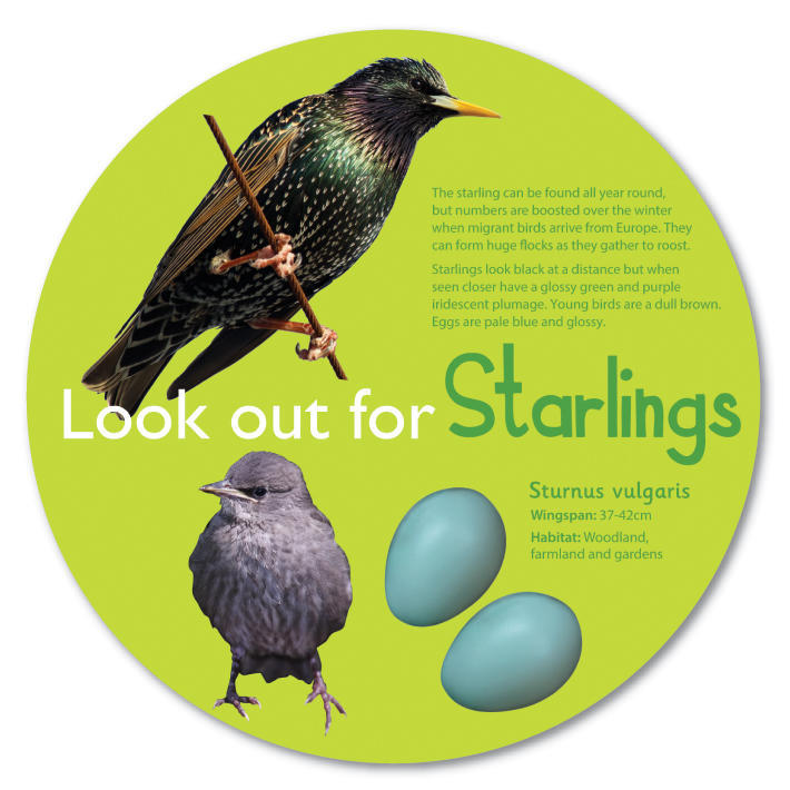 Look out for birds signs