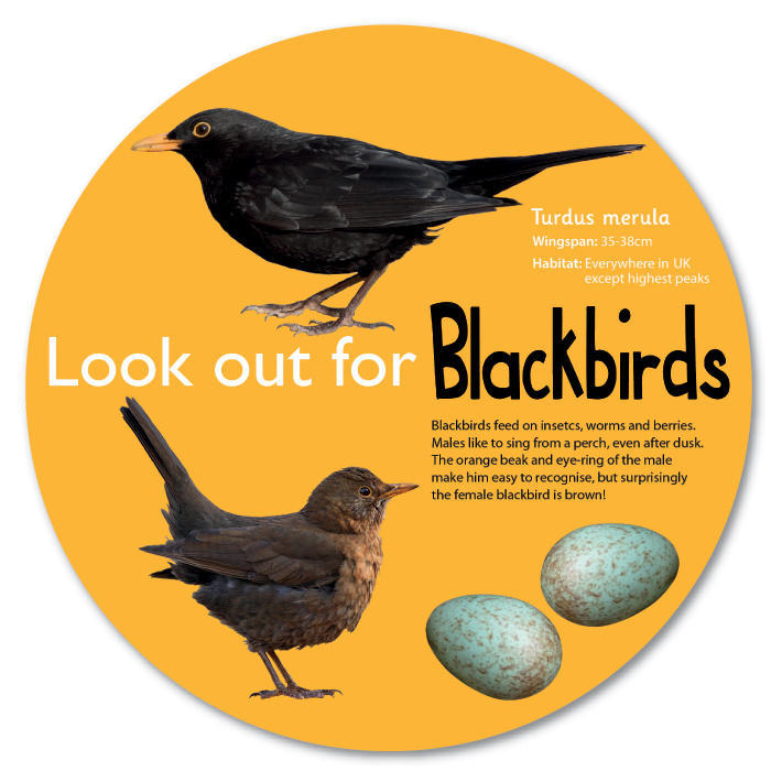 Look out for birds signs