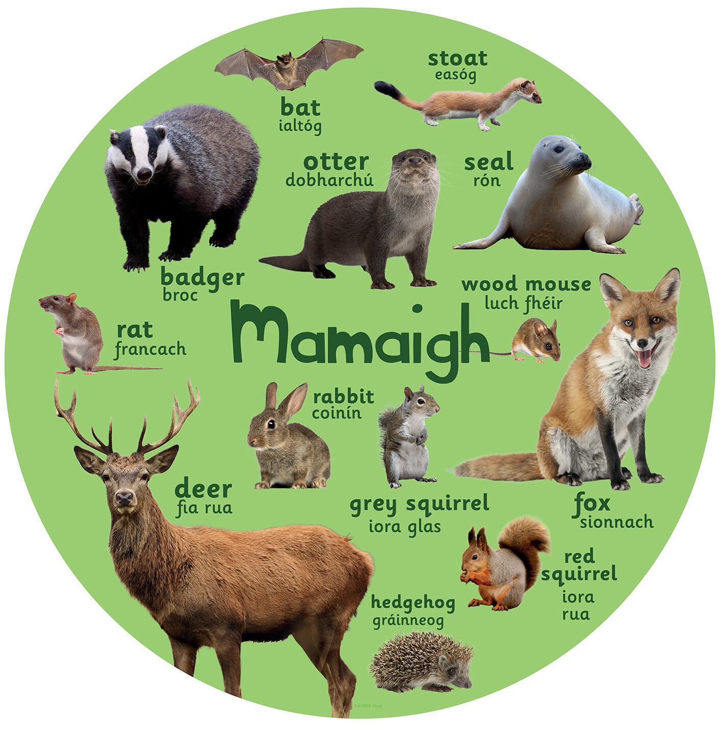 Circular Nature Sign - Mammals (Dual Language English & as Gaeilge)
