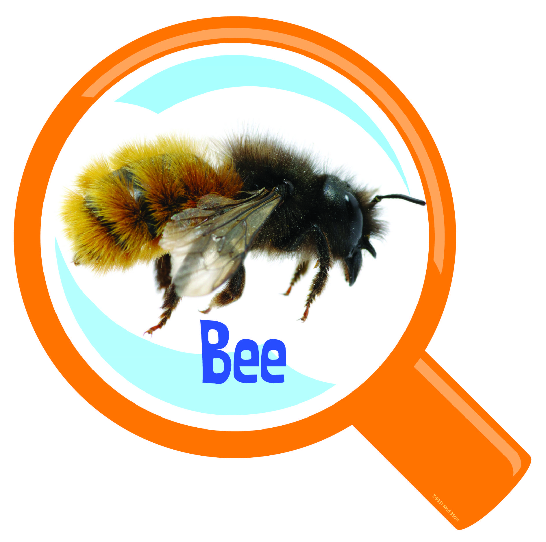 Set of 20 Minibeast Signs