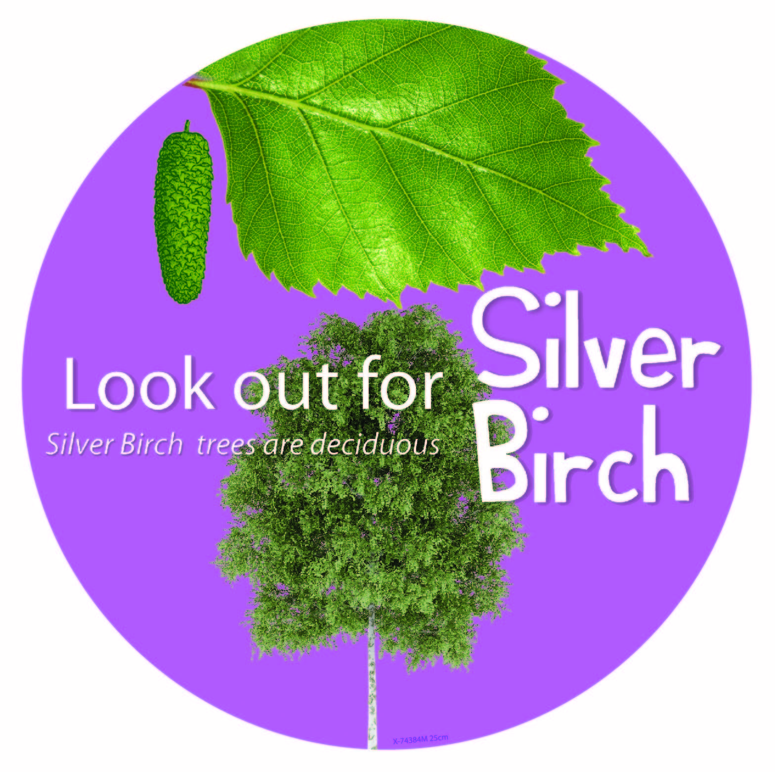 Set of 14 Tree Signs