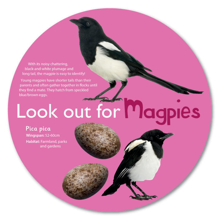 Look out for birds signs