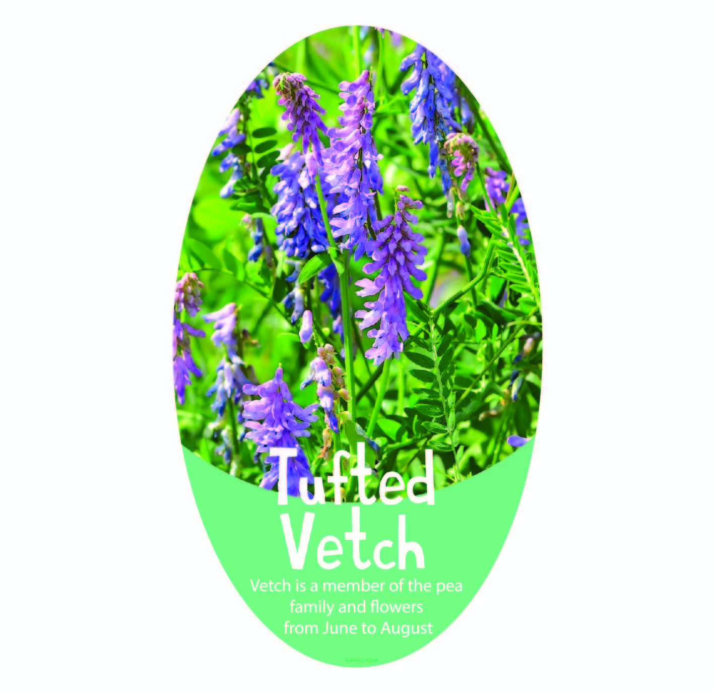 Set of 14 Wild Flower Signs