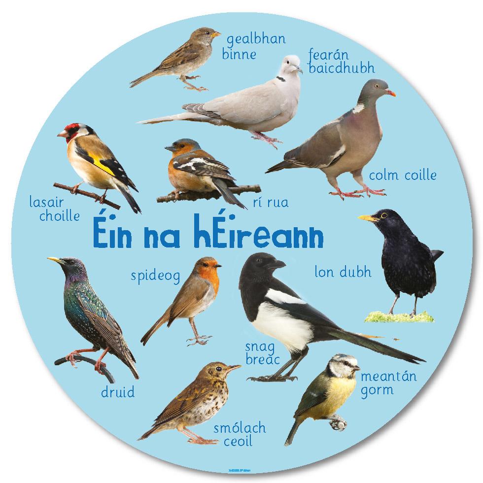 Circular Nature Sign - Birds (as Gaeilge)