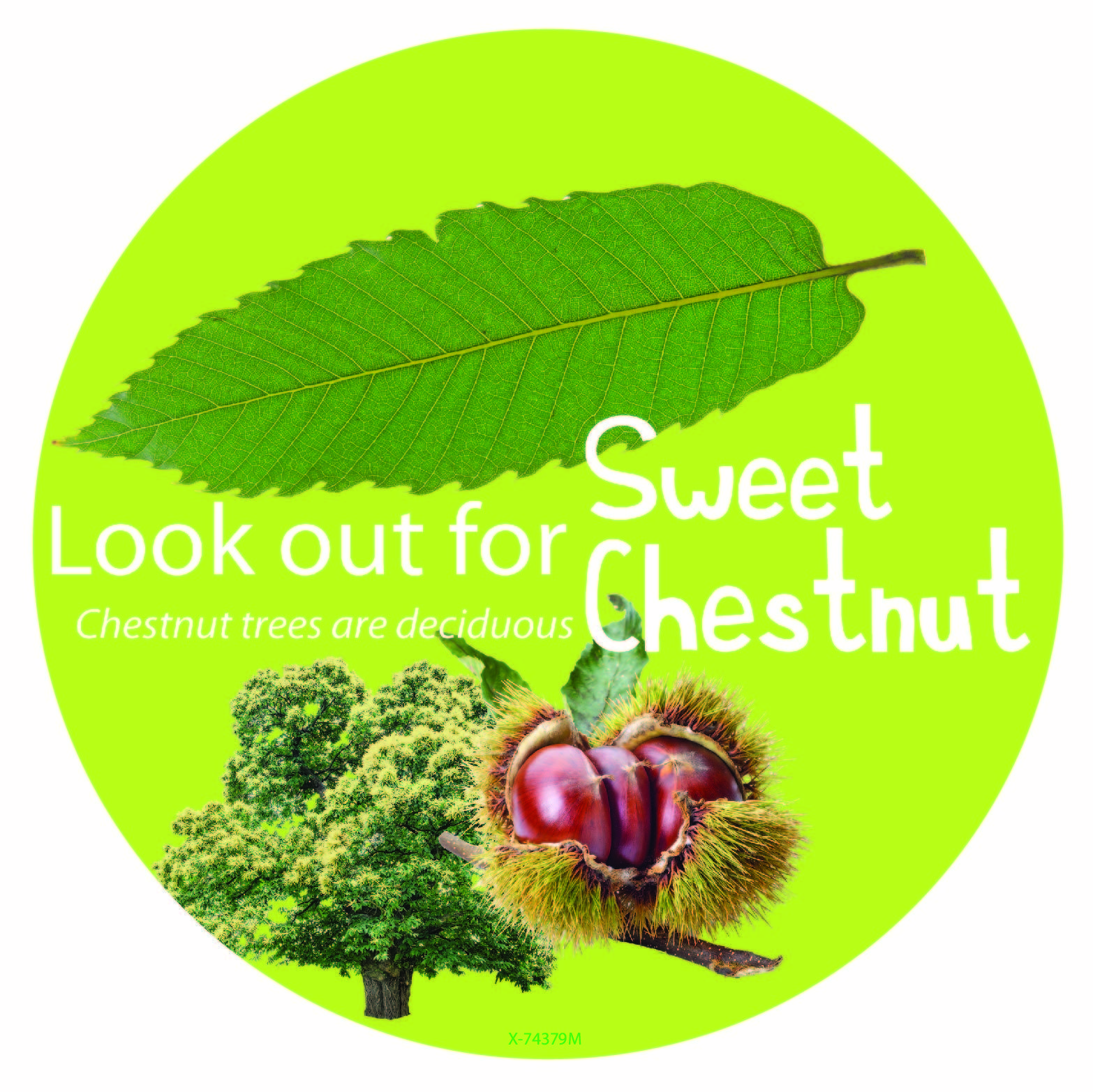 Set of 14 Tree Signs