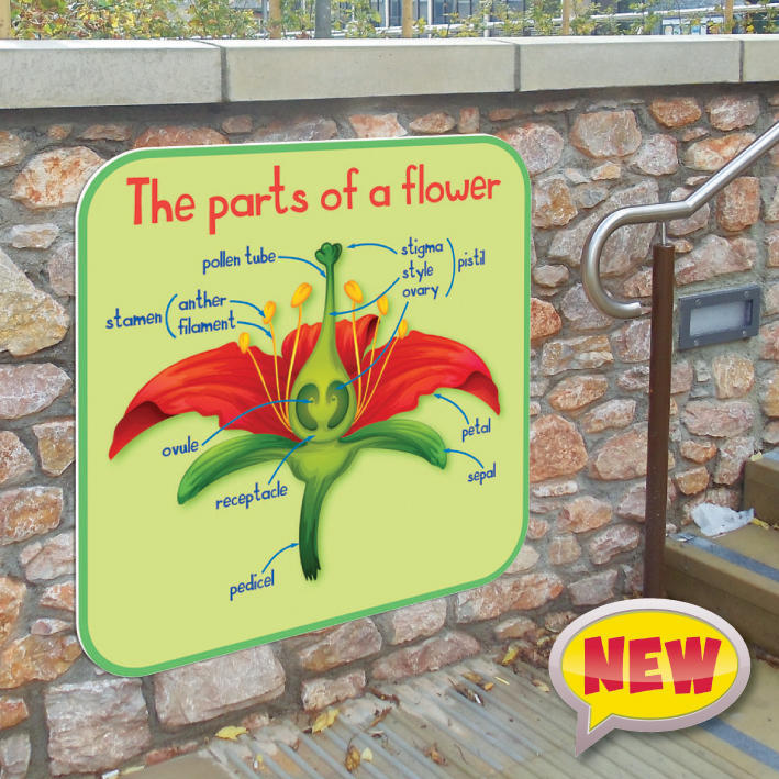 Parts of a Flower, Plant and Tree