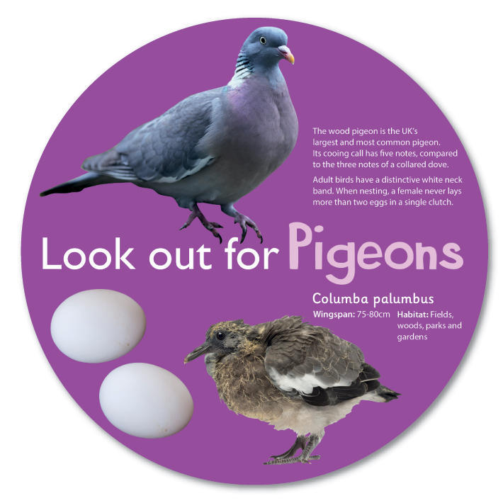 Look out for birds signs