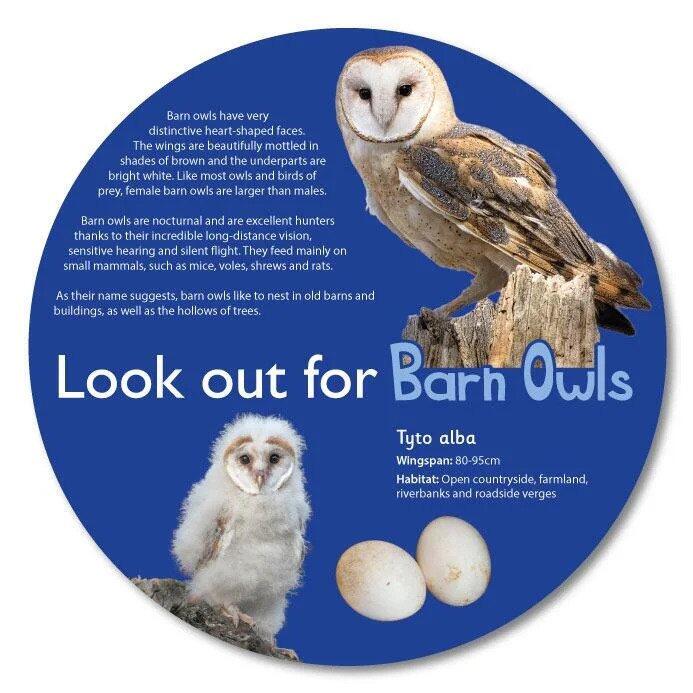 Look out for birds signs