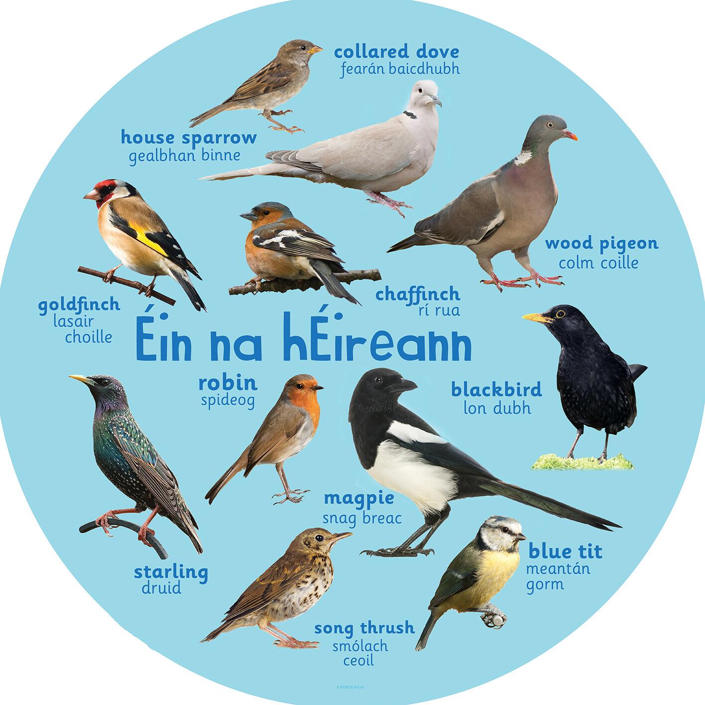 Sparrow Sign Language