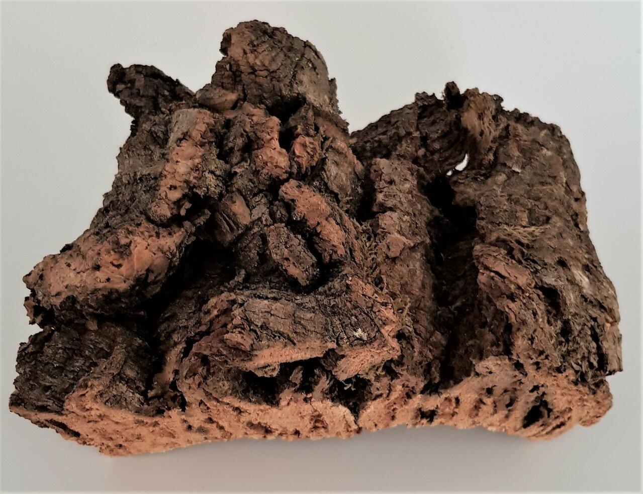 Natural Scenics CB-SN-AS Cork bark-flat