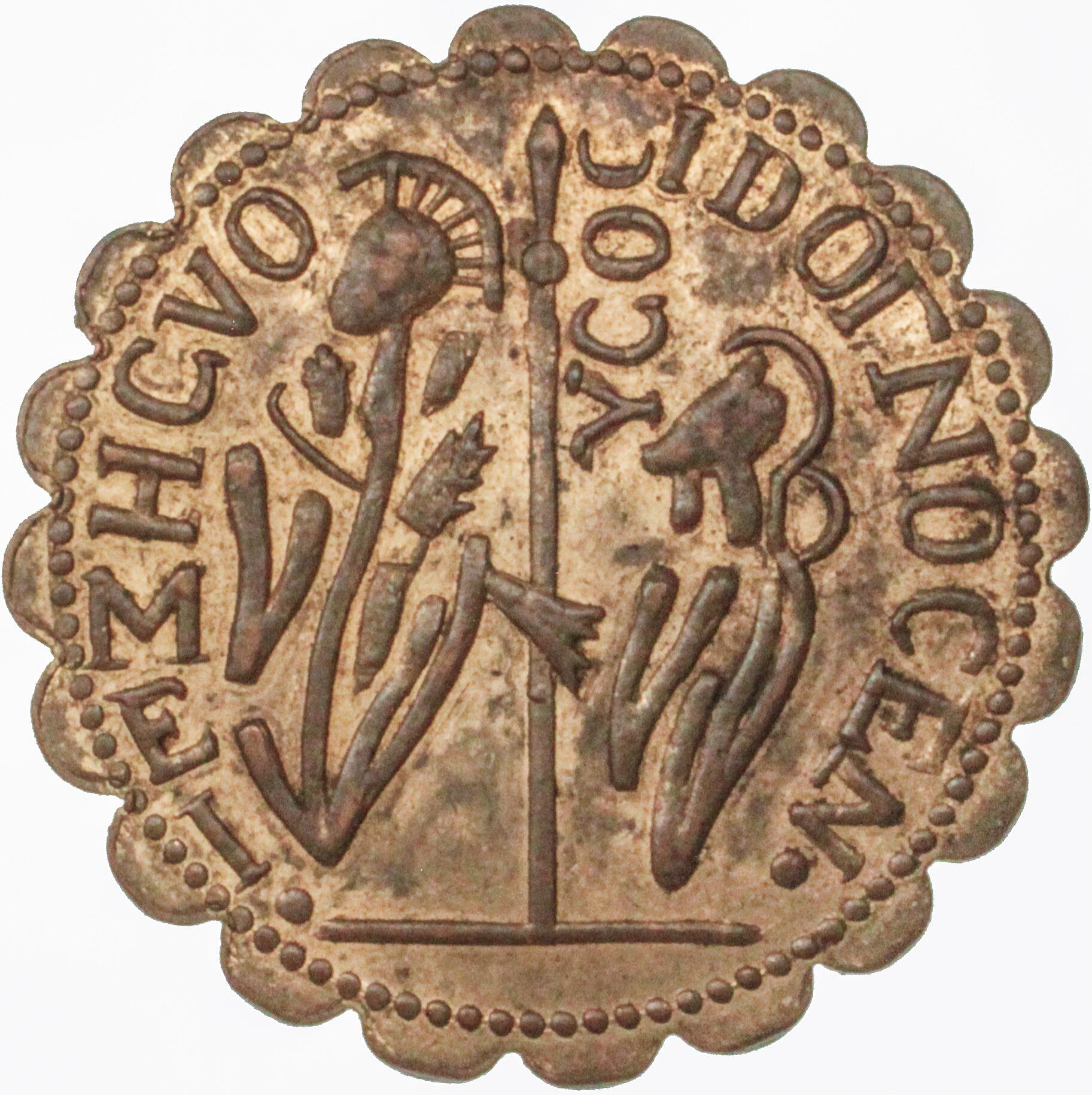 Toy Coins. Sequin gaming counter