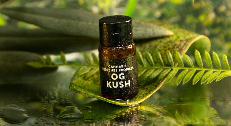 Unveiling the Aromatic Delight: Exploring the Rich Terpene Profile of ...