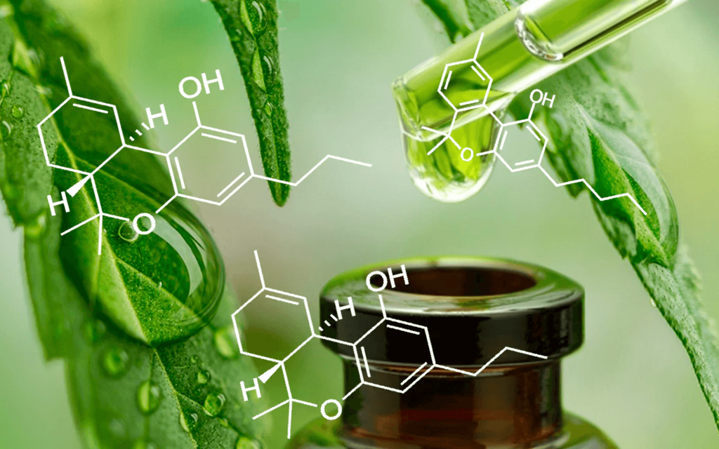 Unlocking the Power of Terpenes: Understanding Which Terpenes Enhance ... Unlocking the Power of Terpenes: Understanding Which Terpenes Enhance ...