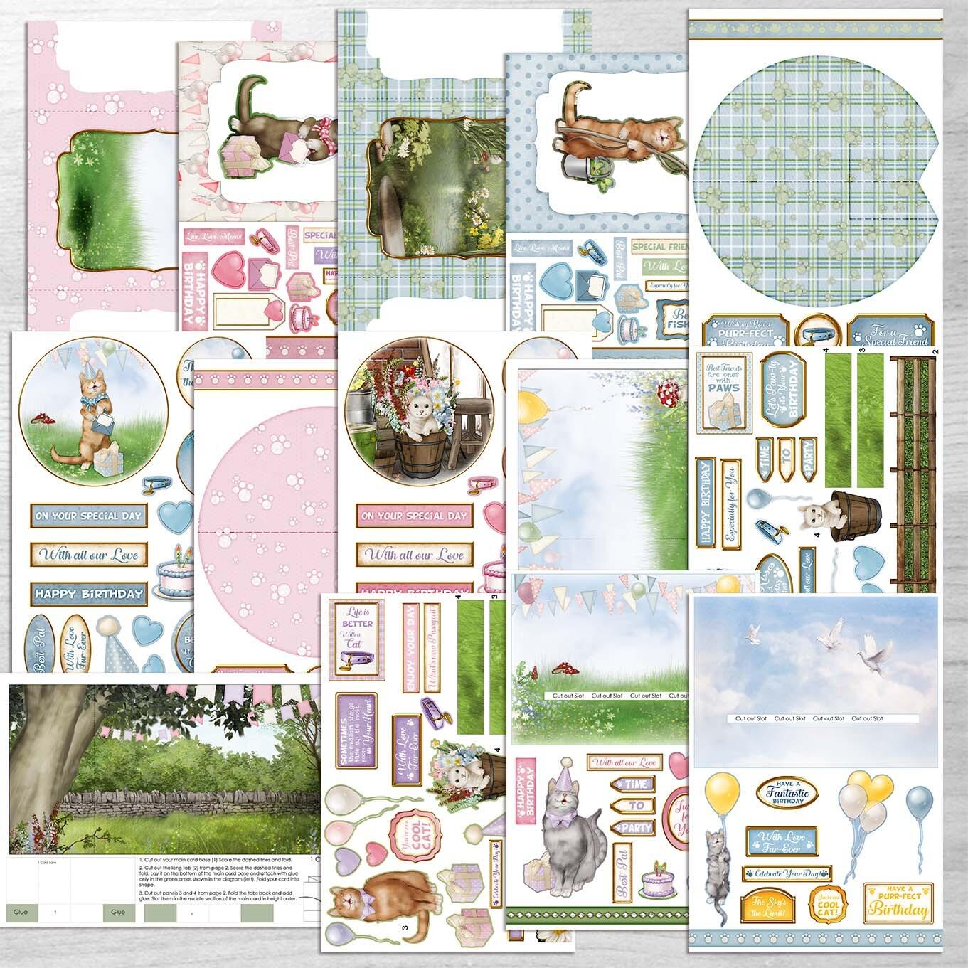CU278 A Cat for all Occasions Concept Cardmaking Kit with Forever Code