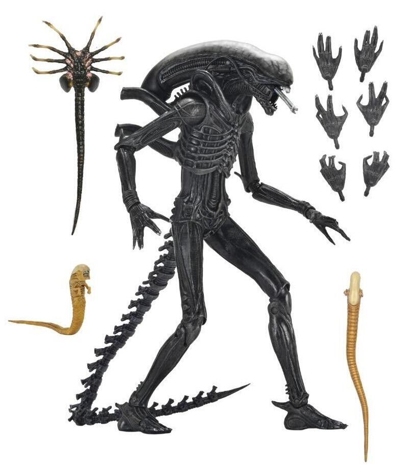 Alien: Romulus Ultimate 7 Inch Scale Action Figure - Xenomorph XX121