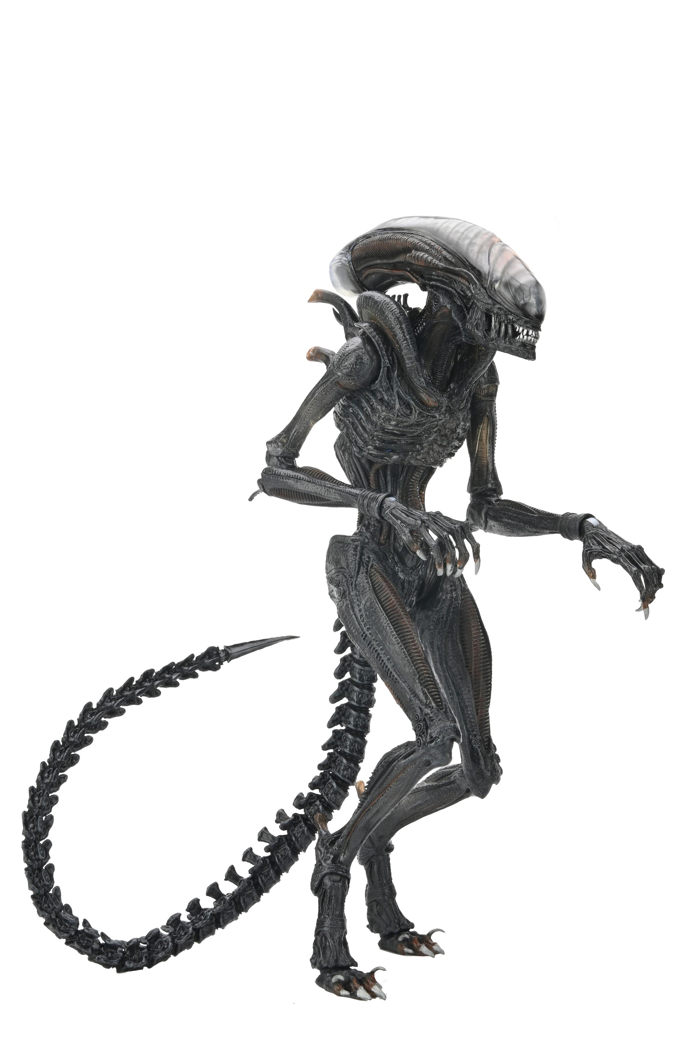 Alien: Romulus Ultimate 7 Inch Scale Action Figure - Scorched Xenomorph