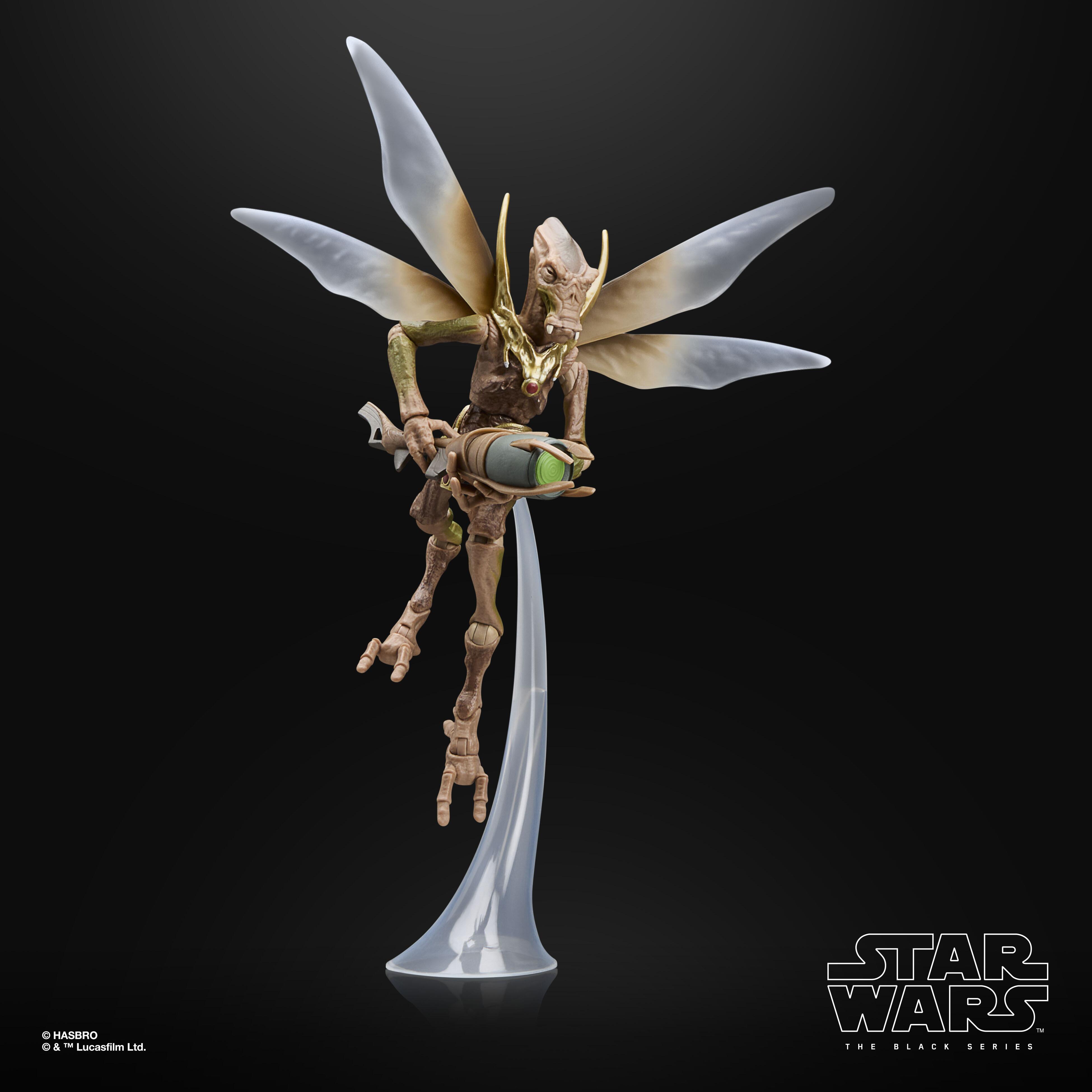 *PRE-ORDER Star Wars Black Series 6 Inch Exclusive Action Figure ...