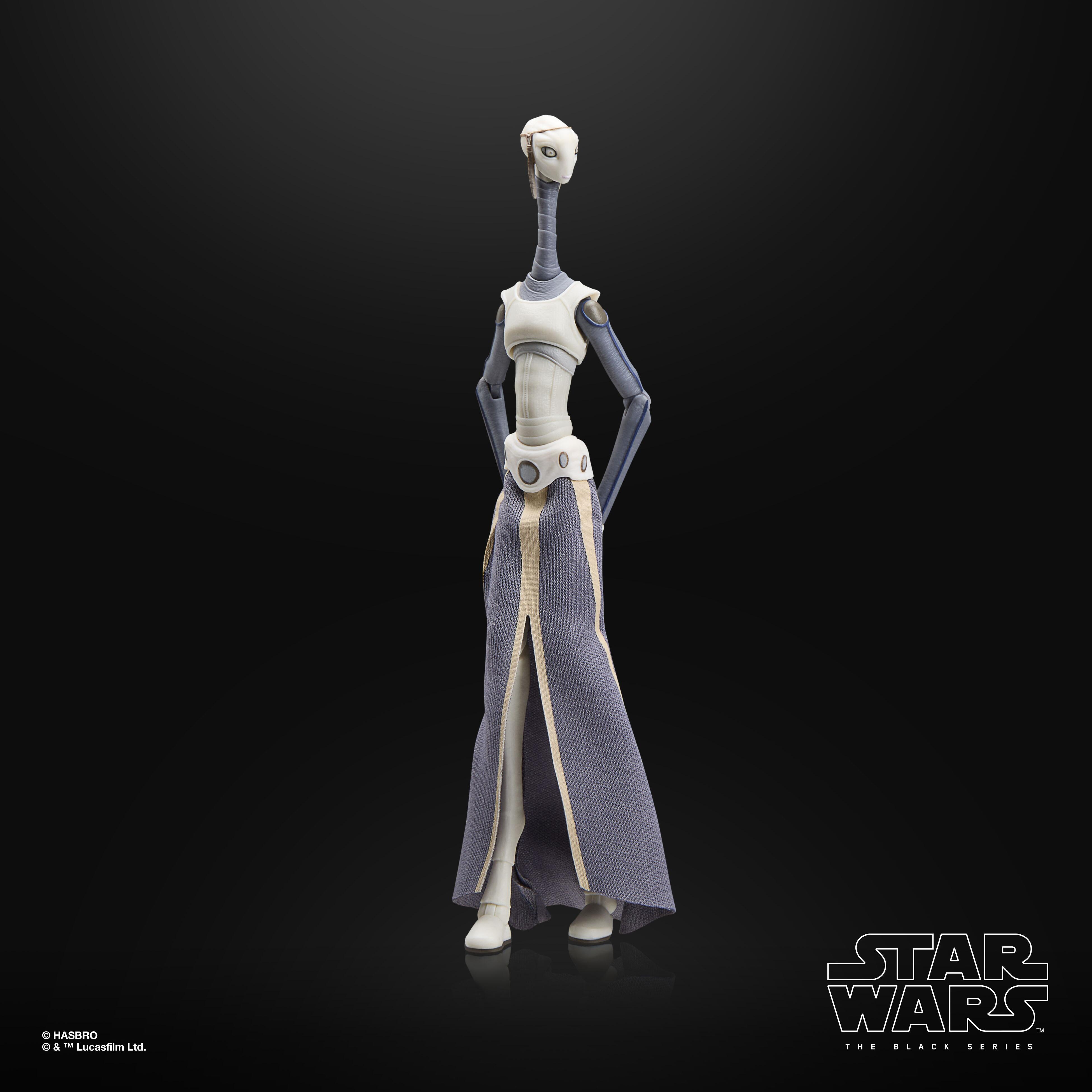 *PRE-ORDER Star Wars Black Series 6 Inch Exclusive Action Figure - Taun We