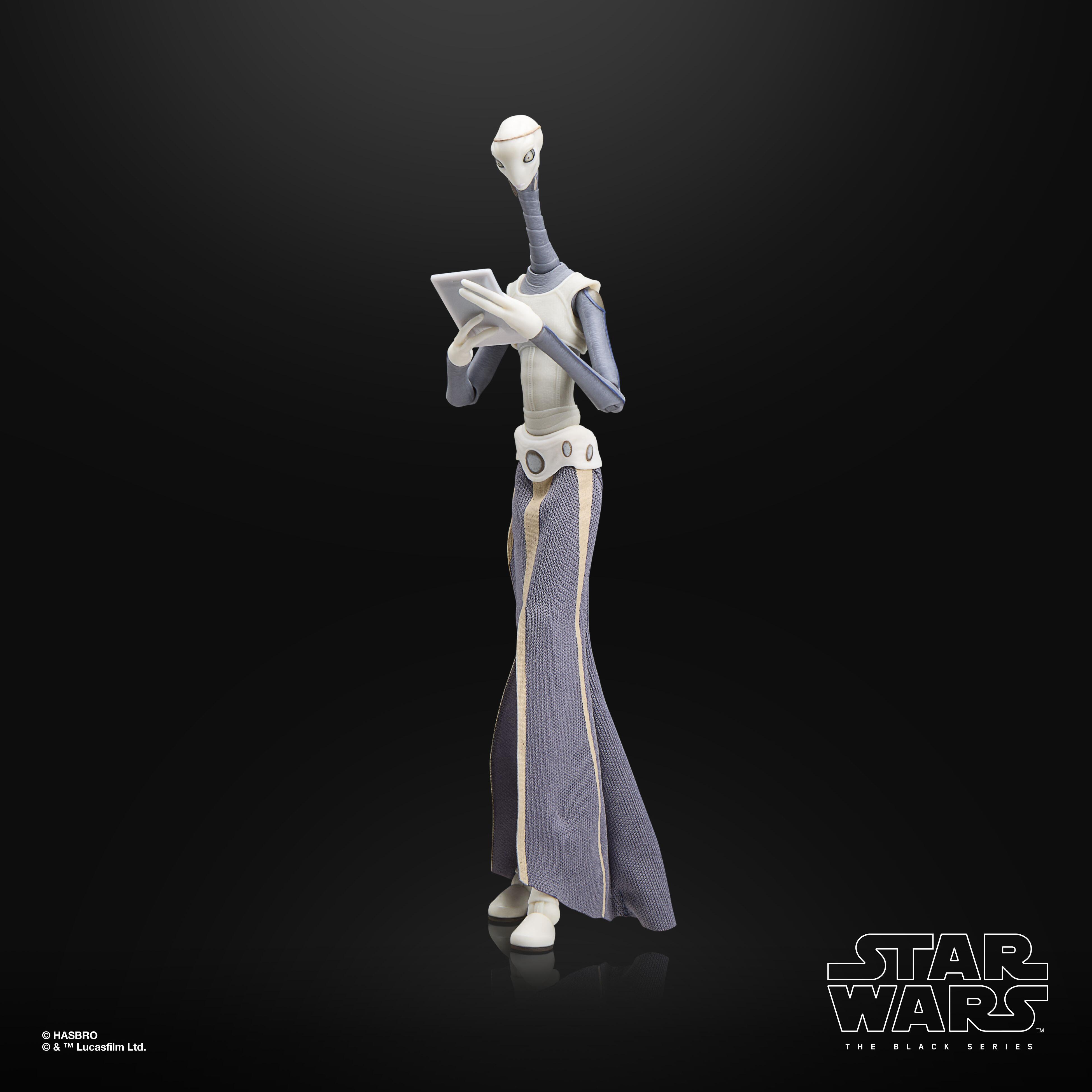 *PRE-ORDER Star Wars Black Series 6 Inch Exclusive Action Figure - Taun We