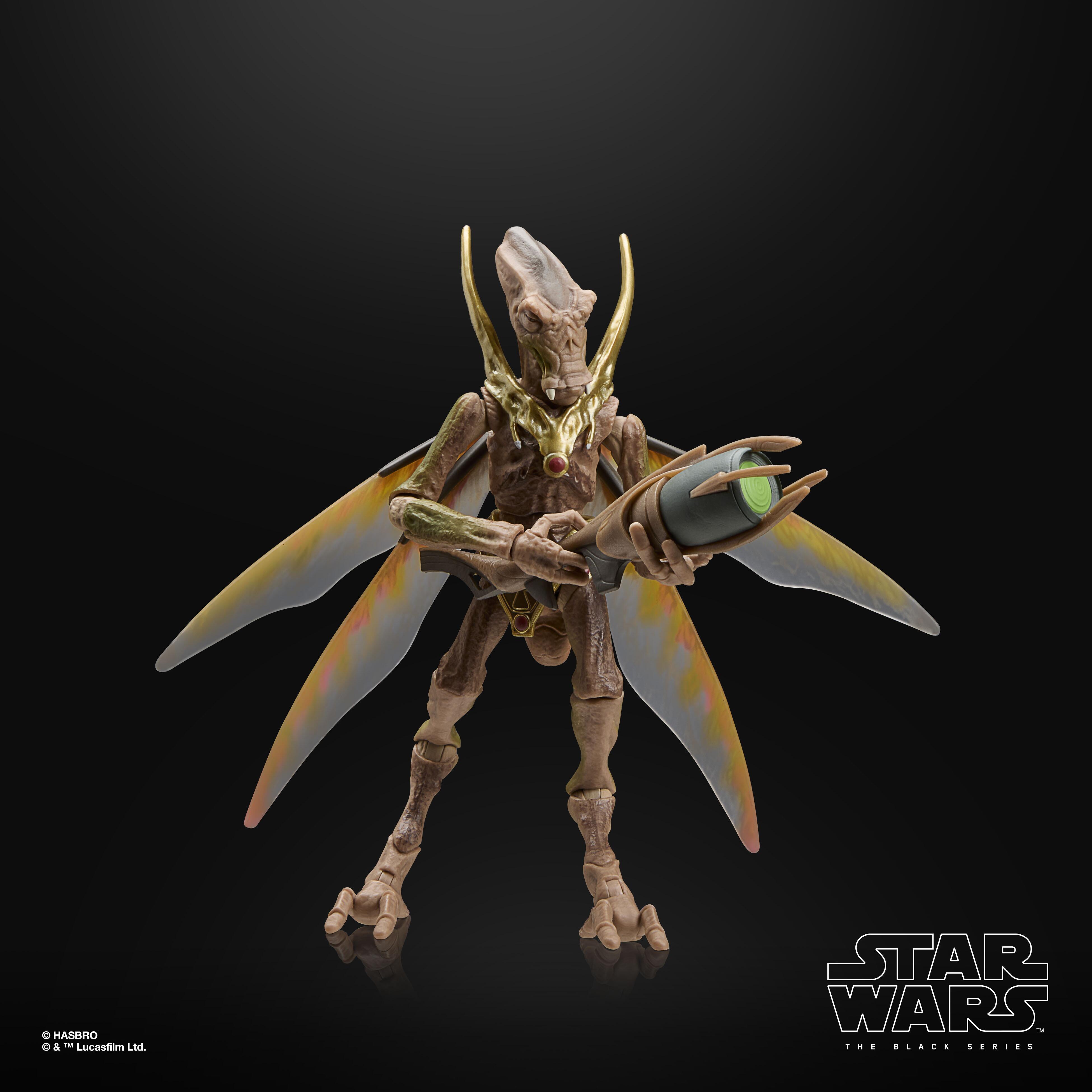 *PRE-ORDER Star Wars Black Series 6 Inch Exclusive Action Figure ...