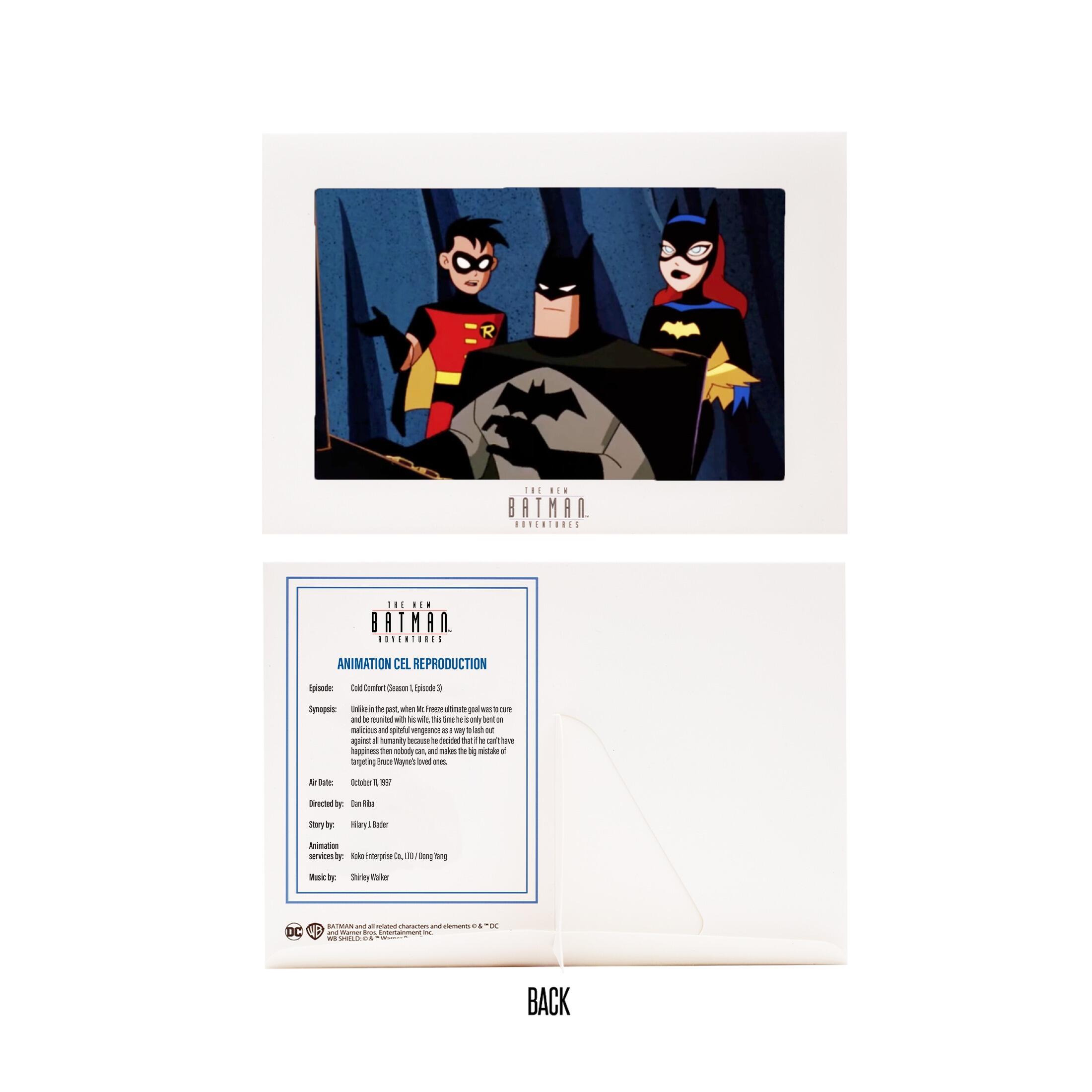 DC Direct: The Batman Adventures 6 Inch Action Figure Wave 5 - Silver ...