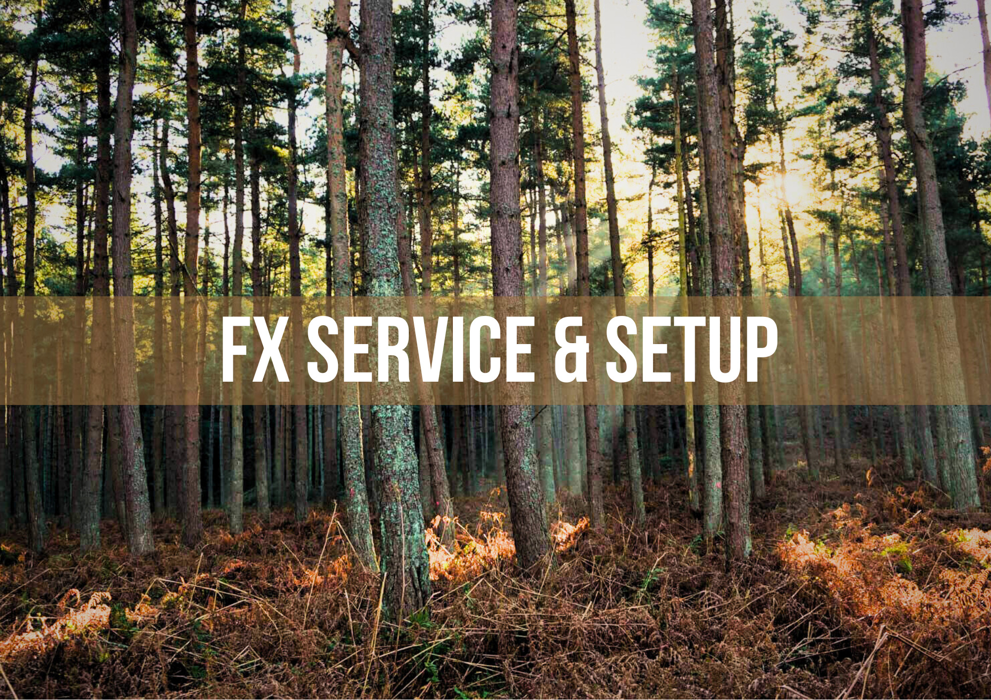 Book Your Air Rifle In Here