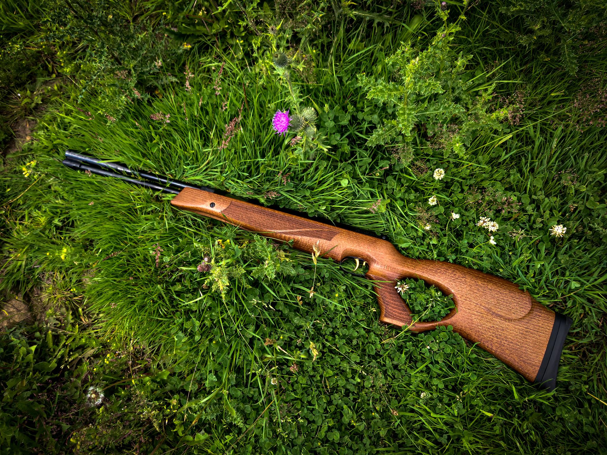 HW97 KT .177 - RAT Works Edition