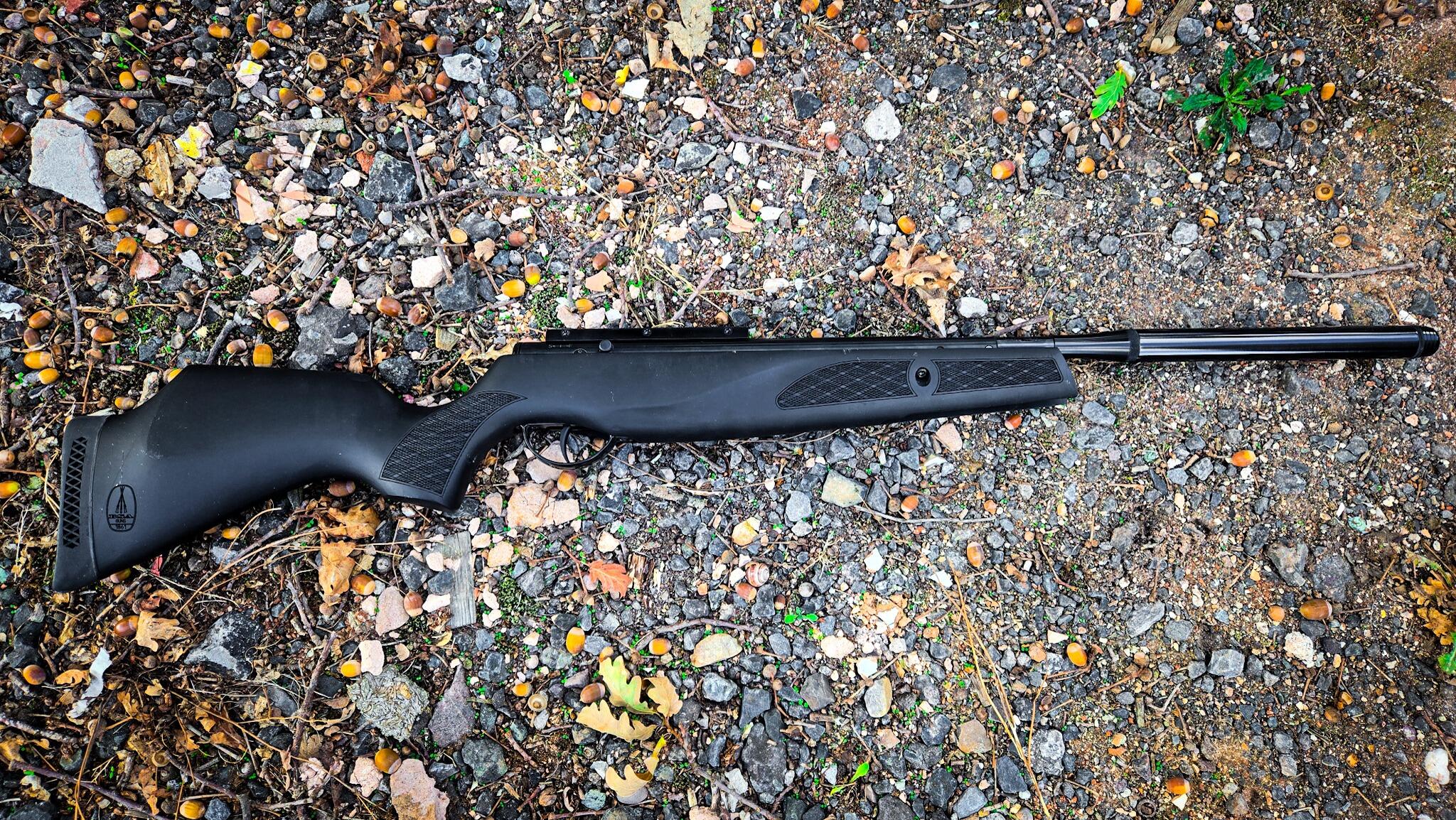 BSA Lightning XL SE Black .22