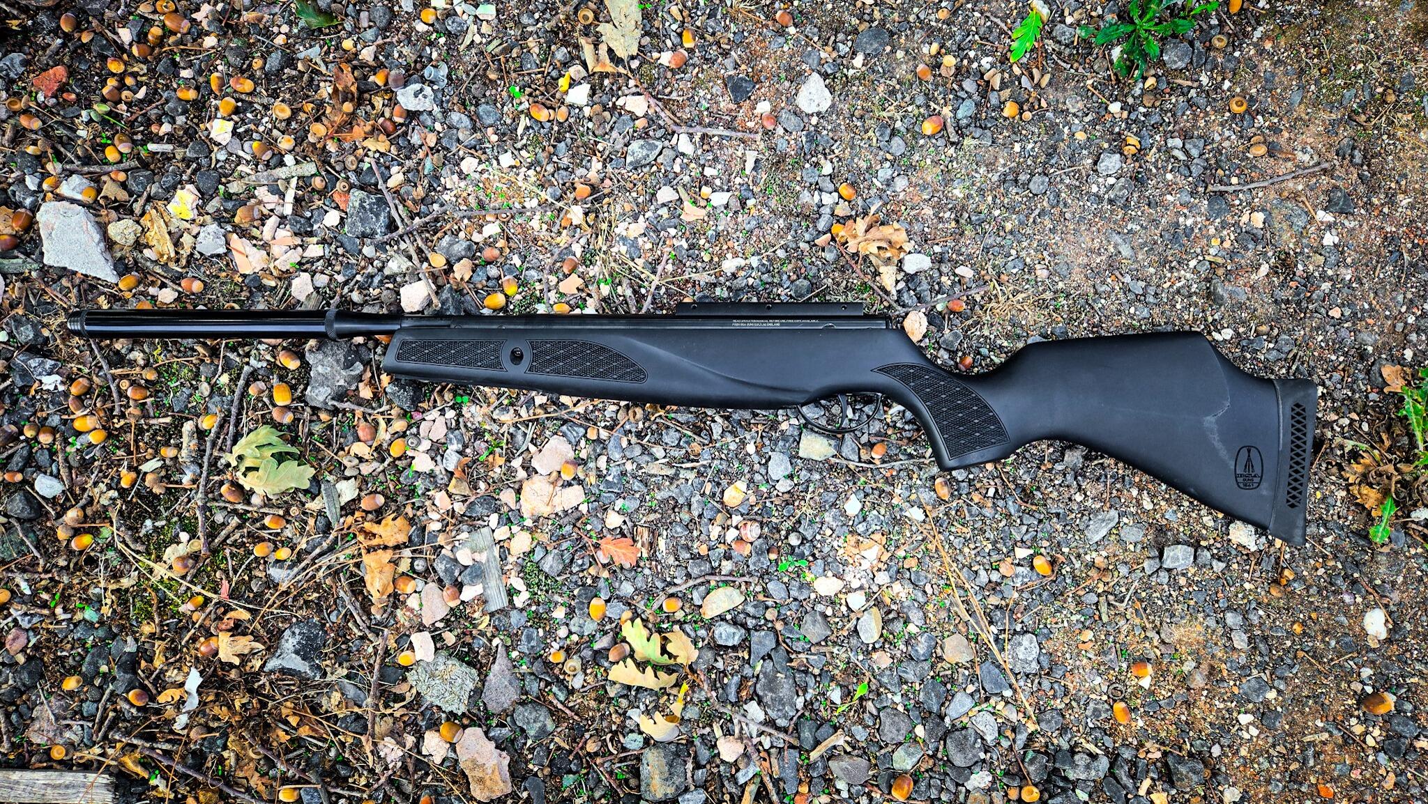 BSA Lightning XL SE Black .22