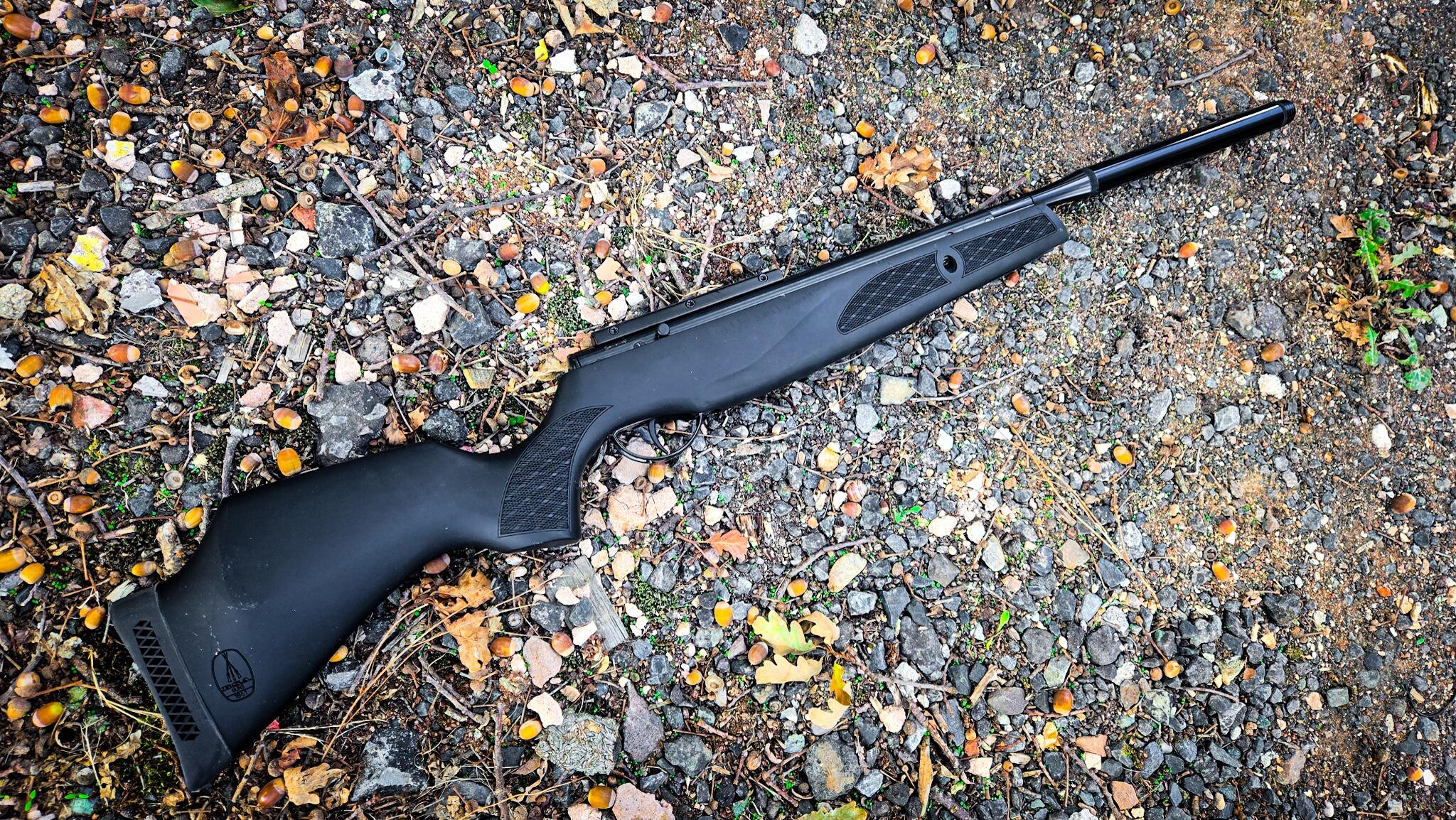 BSA Lightning XL SE Black .22