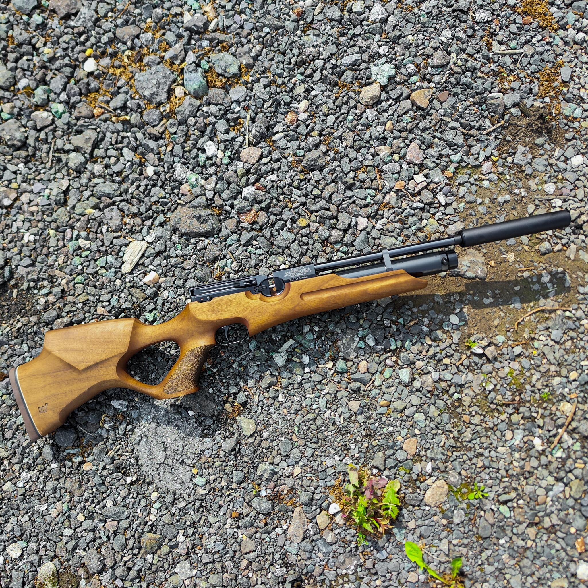 HW100 TK .22 - RAT Works Edition