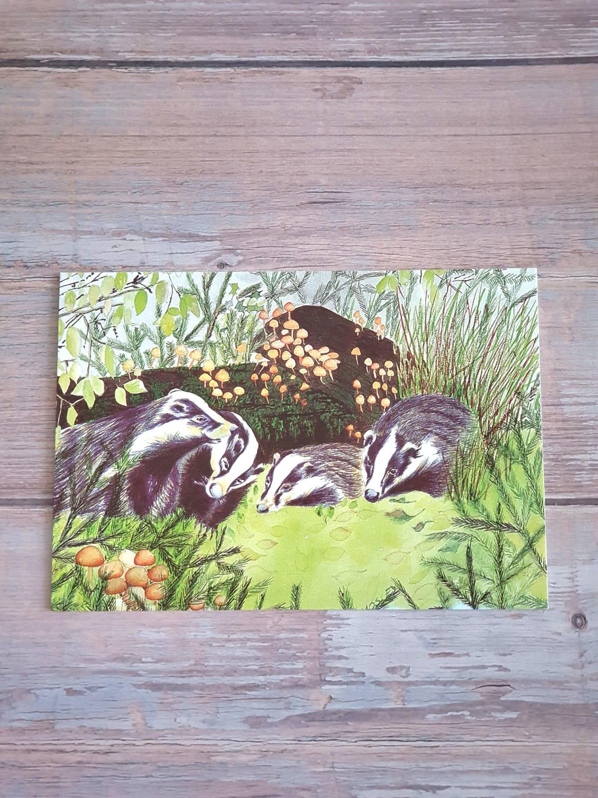 Badger Postcard/Notelet Card